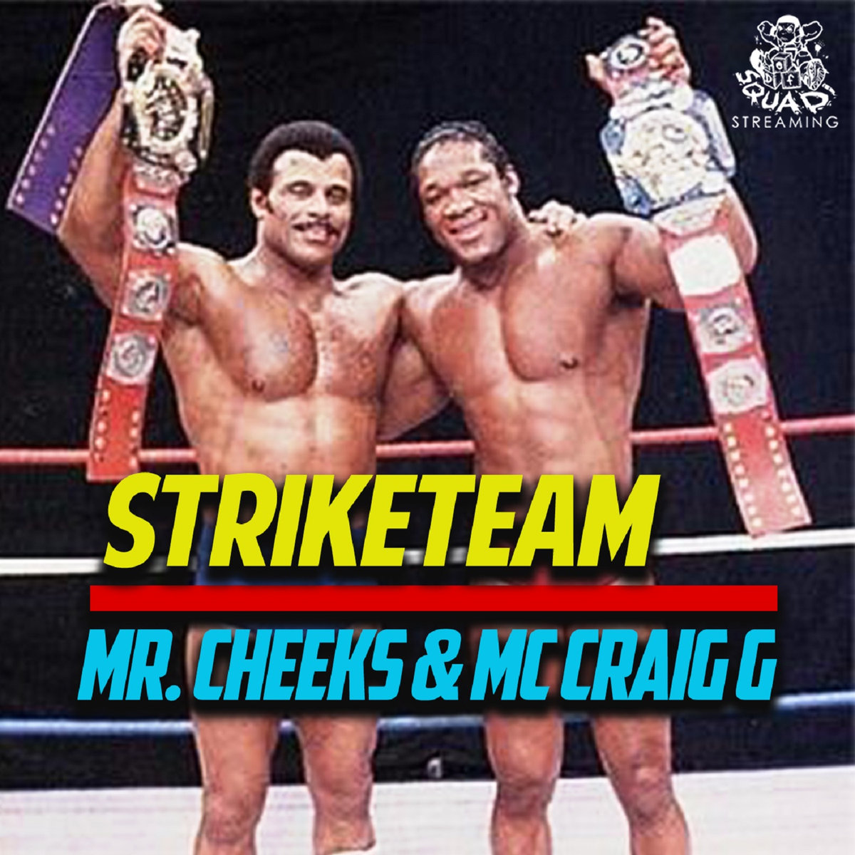 Mr Cheeks & Craig G – Strike Team (Album Stream) - Blackout Hip Hop